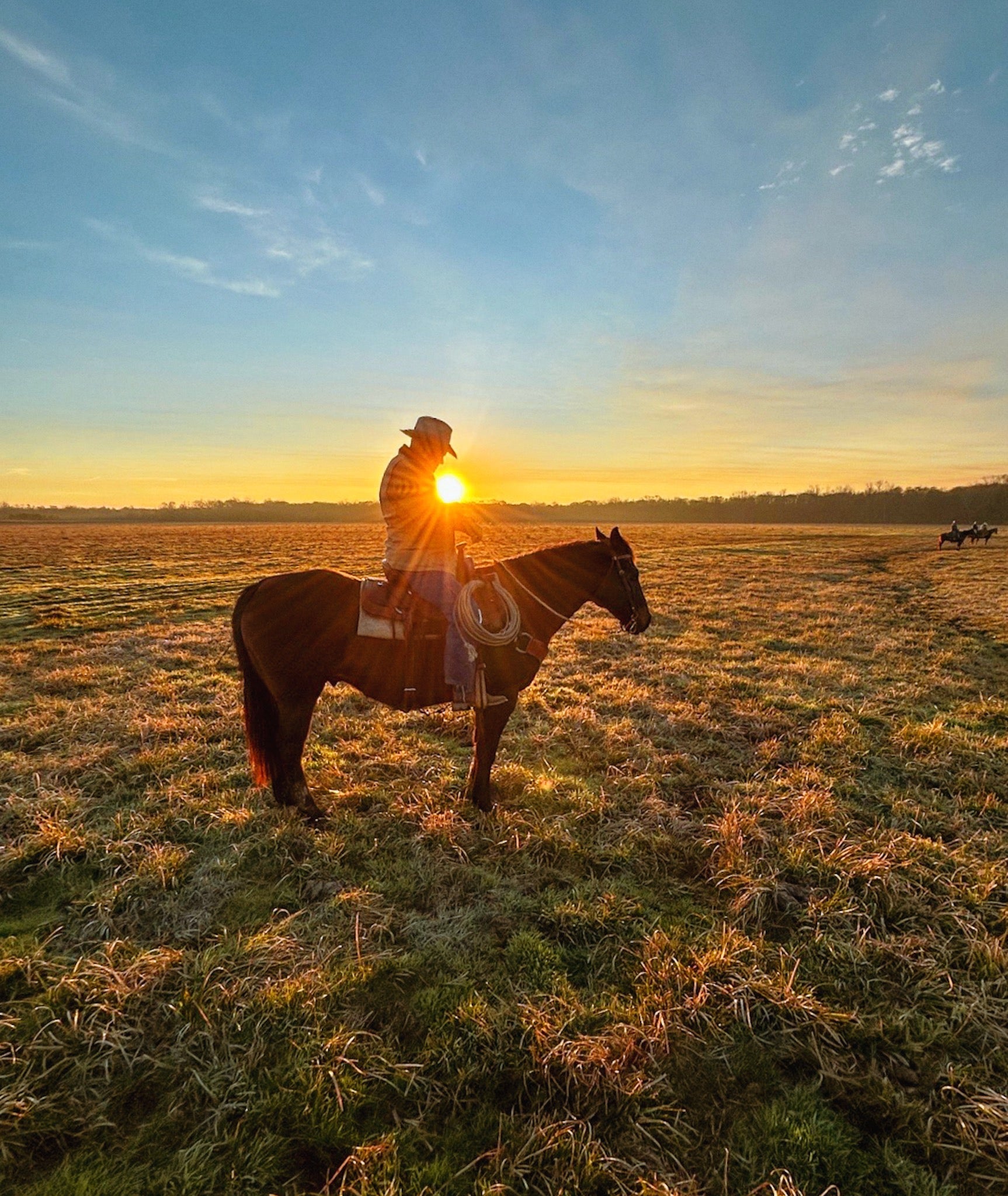 Know Your Rancher: How We Raise Grass-Fed Beef in Southwest Mississipp ...